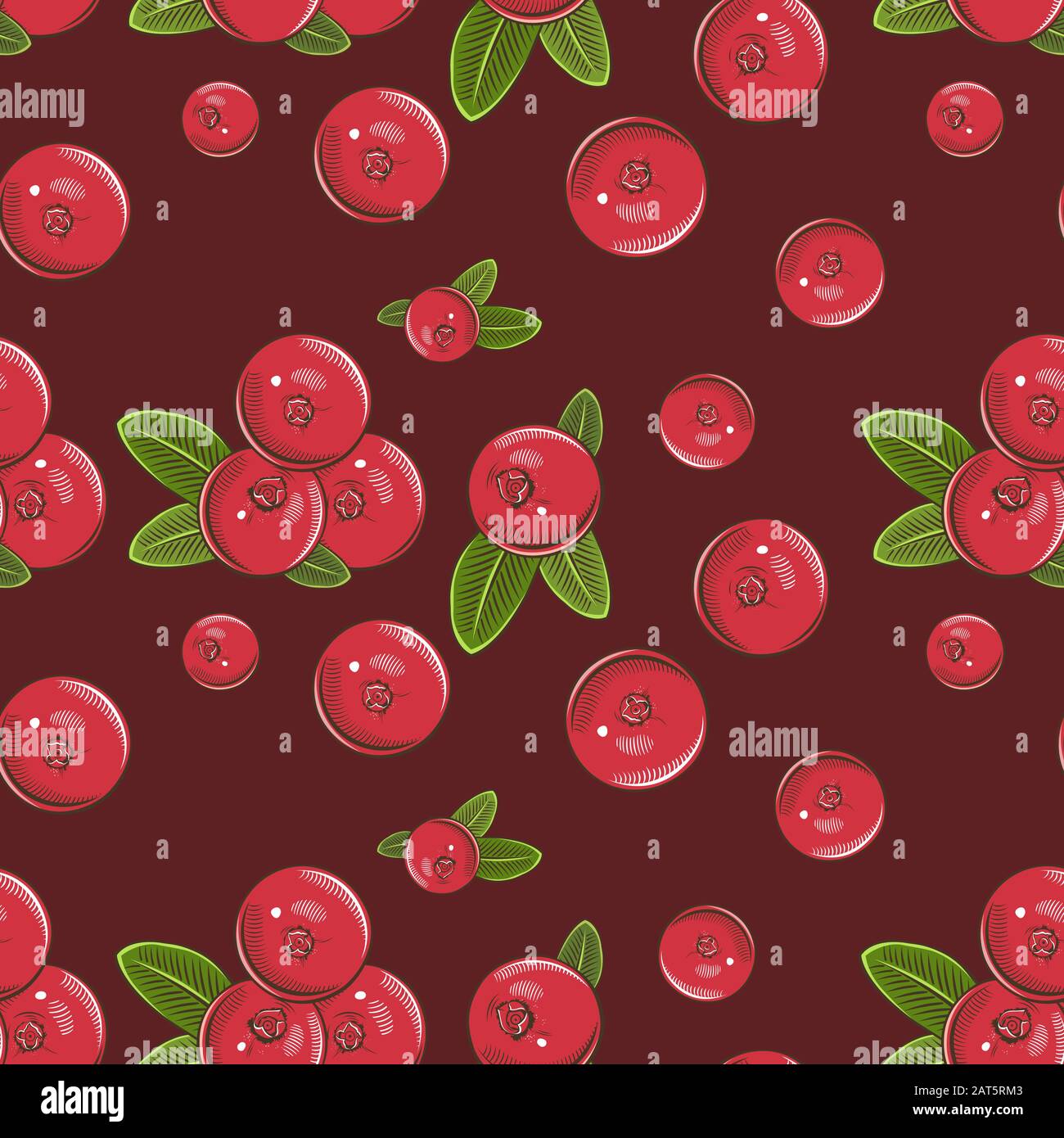 Colored seamless pattern with red cranberries in vintage style Stock ...
