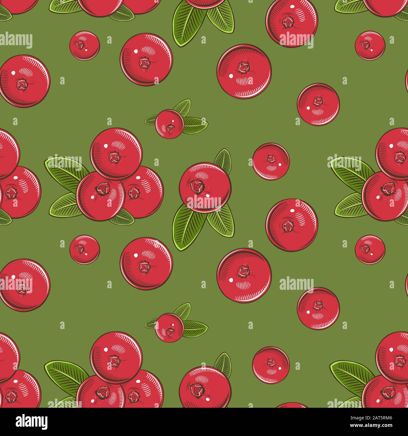 Cranberries pattern Stock Vector Images - Alamy