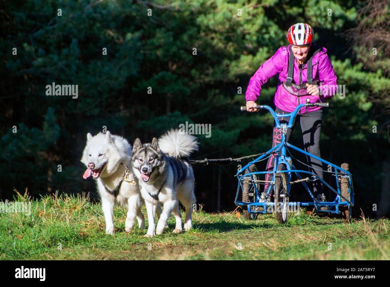 Most beautiful woman in england hi-res stock photography and images - Alamy
