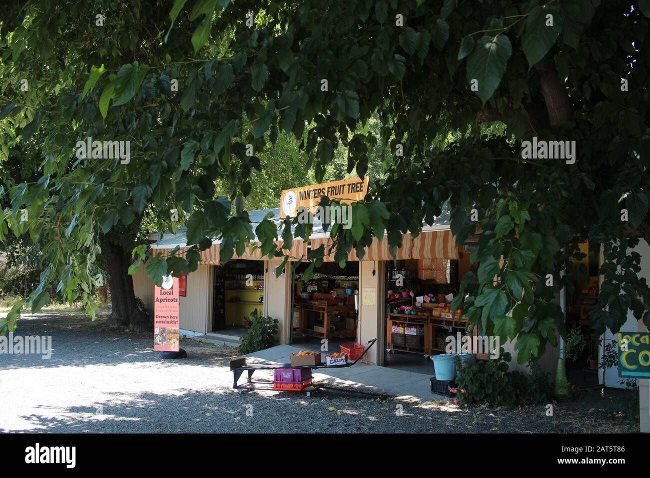 Fruit stand in Winters, California Stock Photo - Alamy