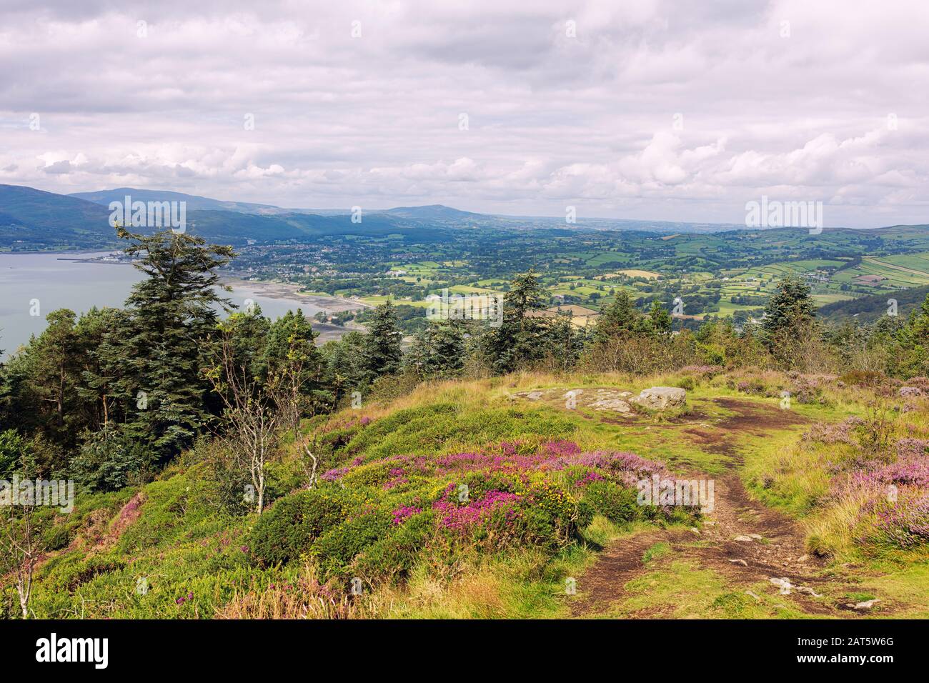 Rostrevor forest hi-res stock photography and images - Alamy