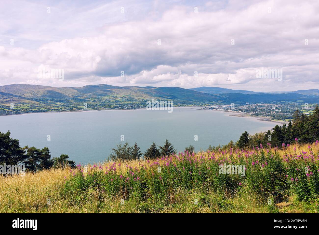 Rostrevor forest park hi-res stock photography and images - Alamy