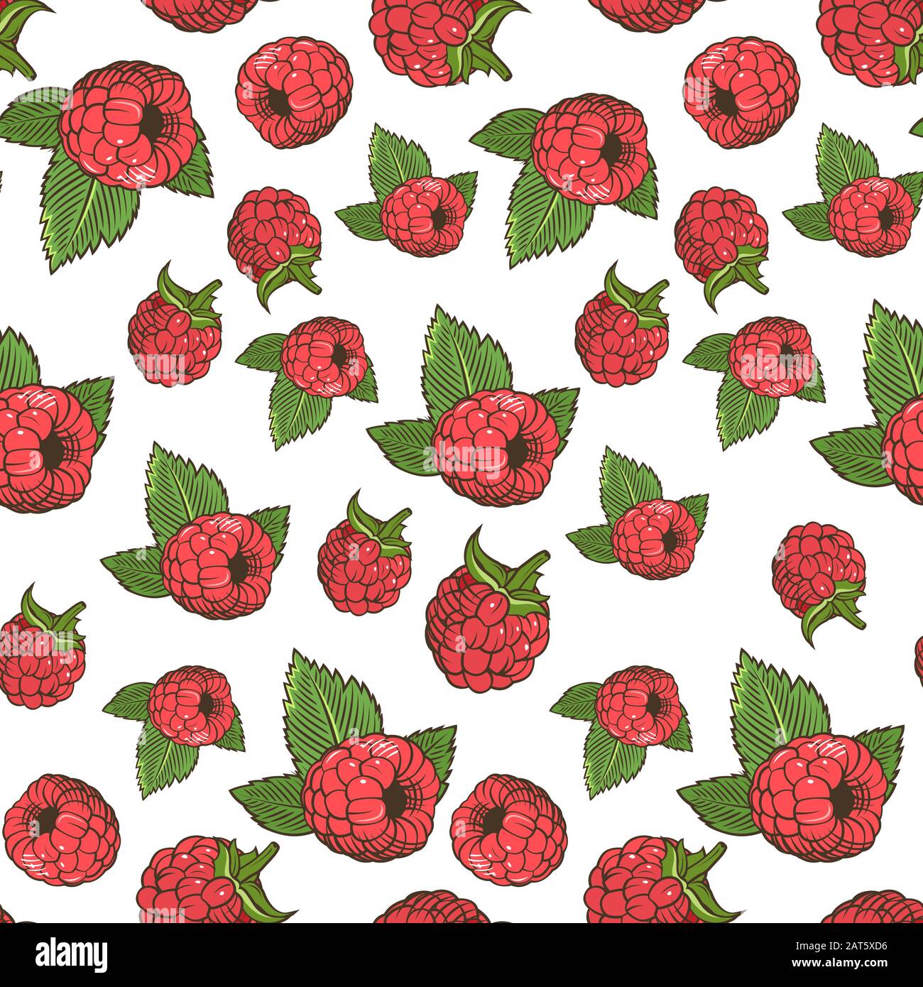 Raspberries drawing Stock Vector Images - Alamy