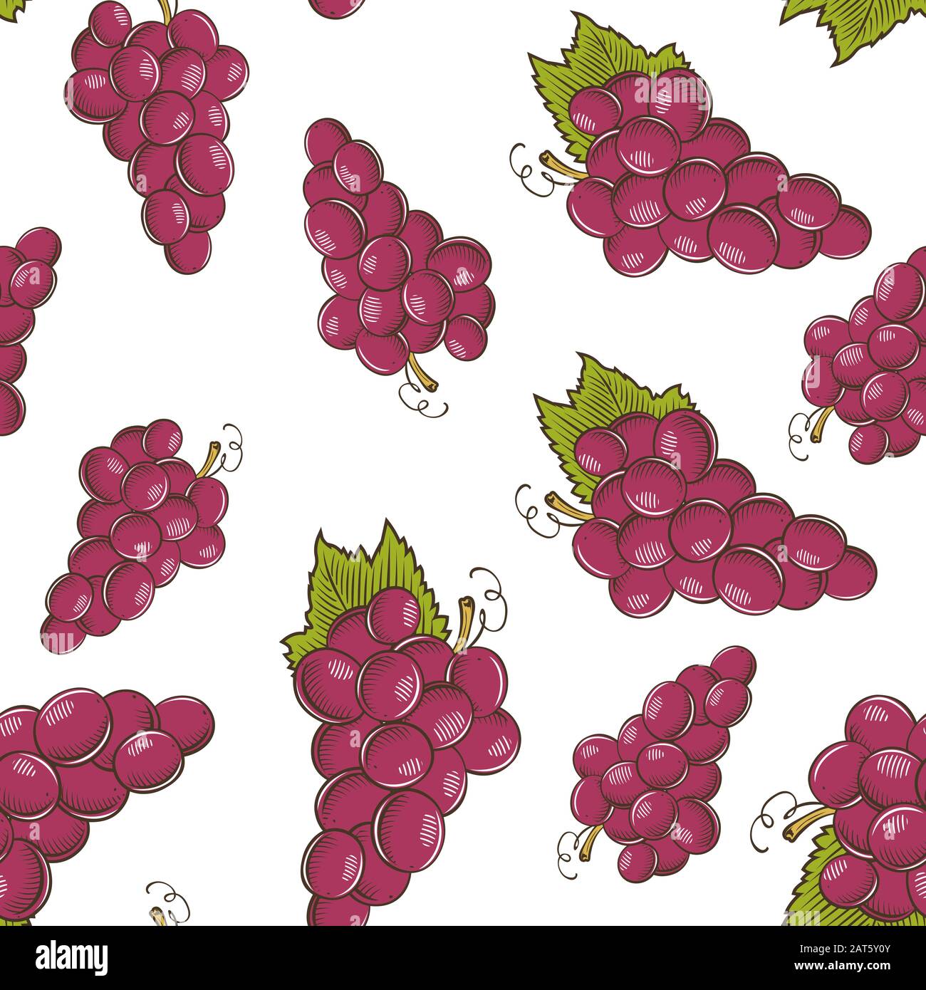 Colored seamless pattern with red grapes in vintage style Stock Vector ...
