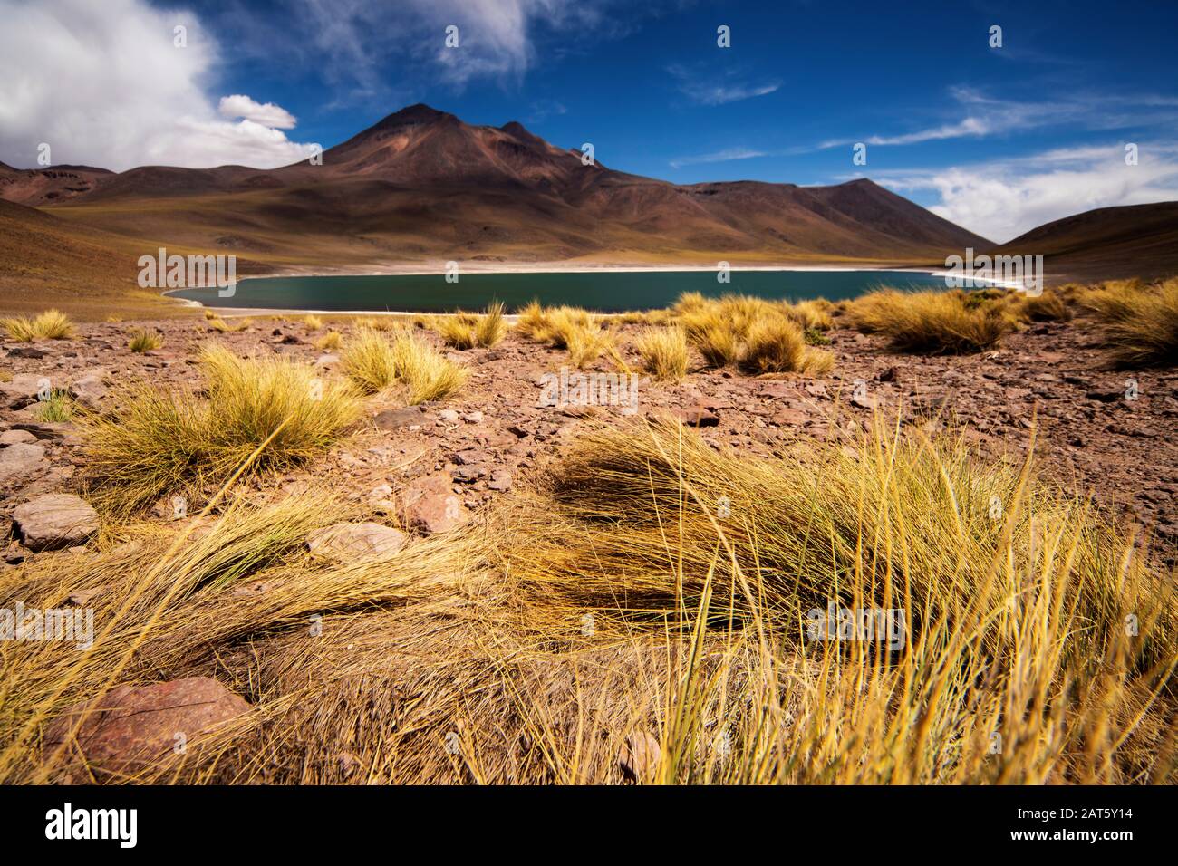 Andes grass hi-res stock photography and images - Alamy