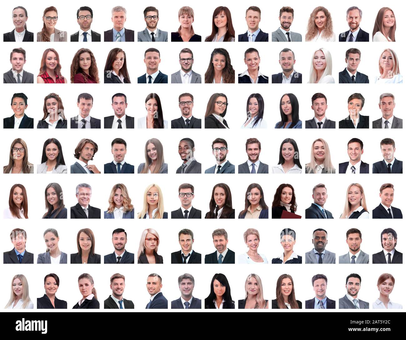 portraits of successful employees isolated on a white Stock Photo - Alamy