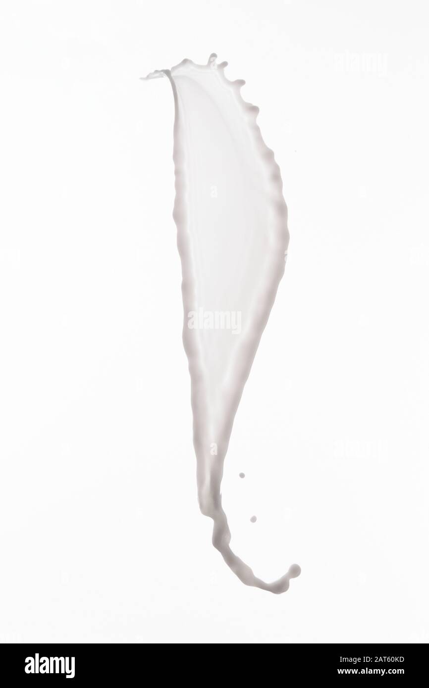 pure fresh white milk splash isolated on white Stock Photo - Alamy