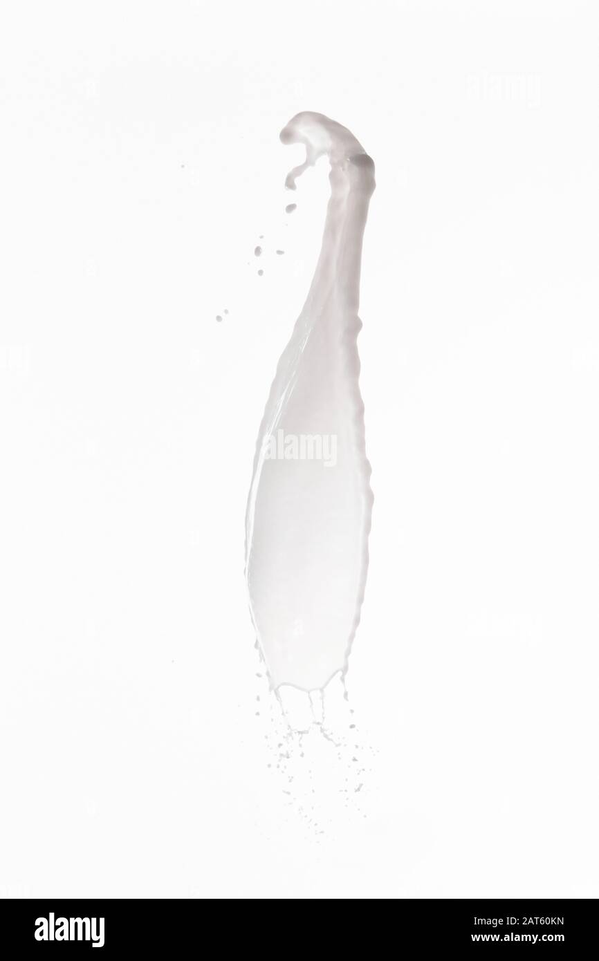 pure fresh white milk splash with drops isolated on white Stock Photo ...