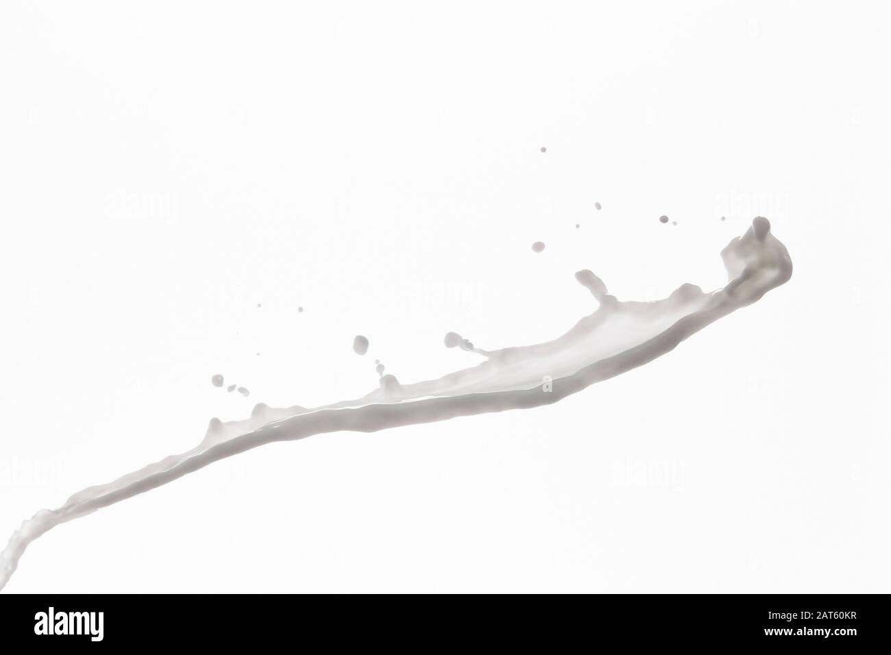 pure fresh white milk splash isolated on white Stock Photo - Alamy