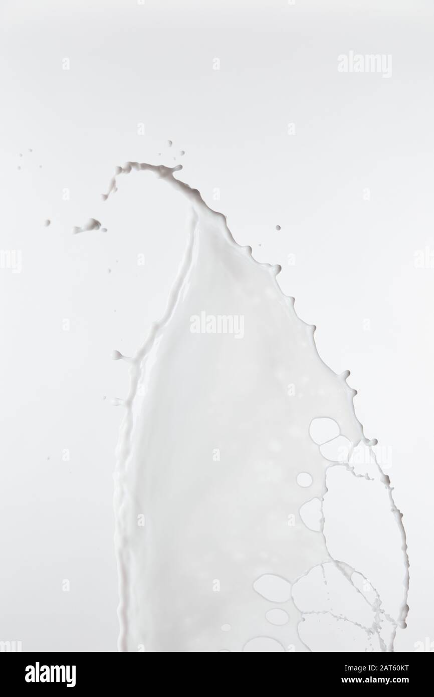 pure fresh white milk splash with drops isolated on white Stock Photo ...
