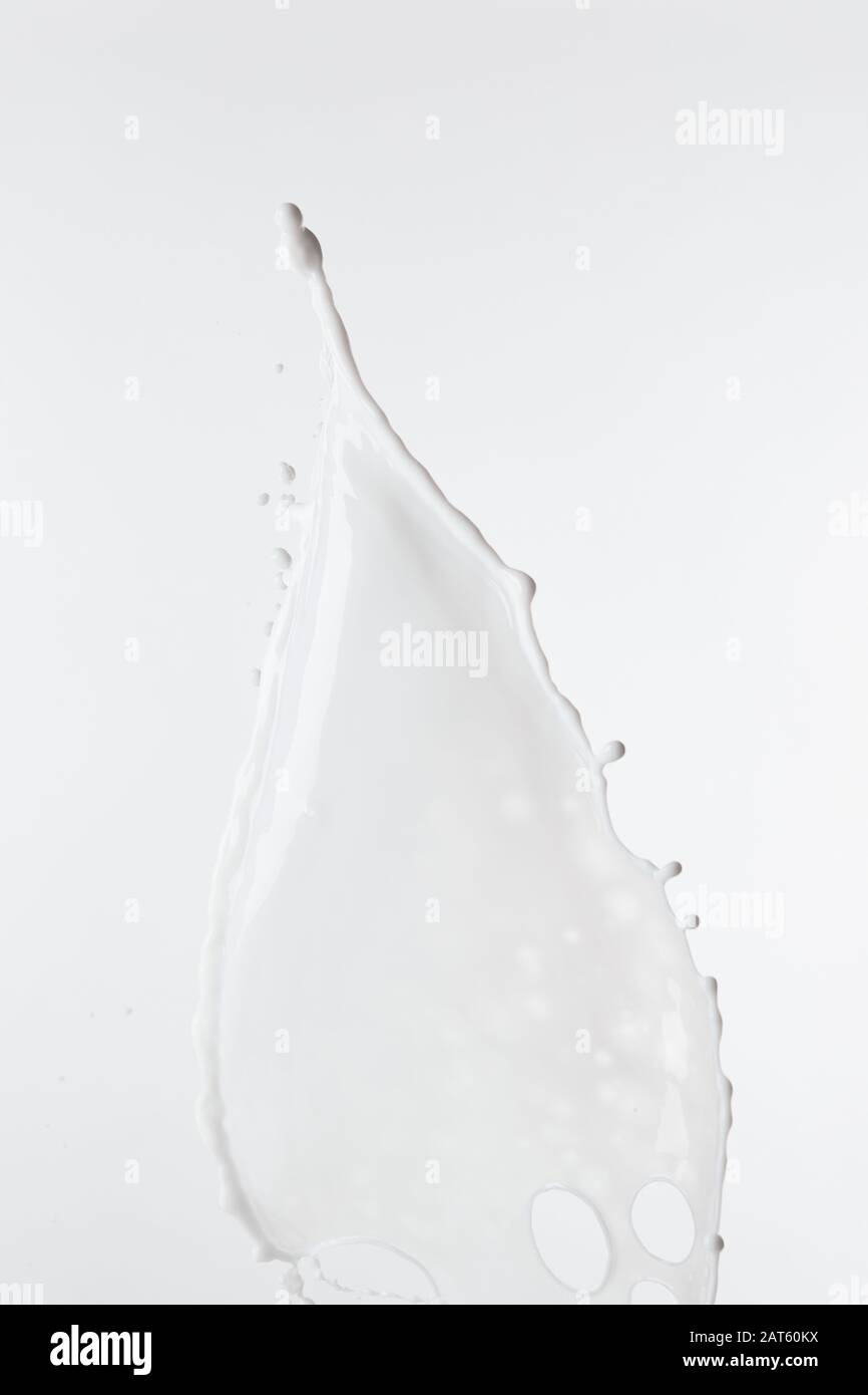 pure fresh white milk splash with drops isolated on white Stock Photo ...