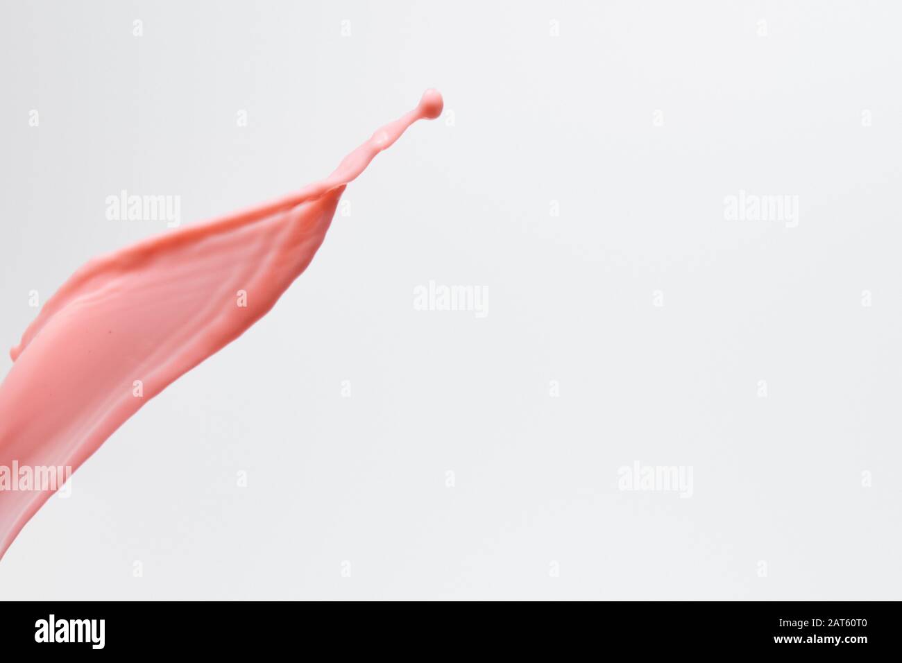 fresh pink milk splash isolated on white Stock Photo - Alamy