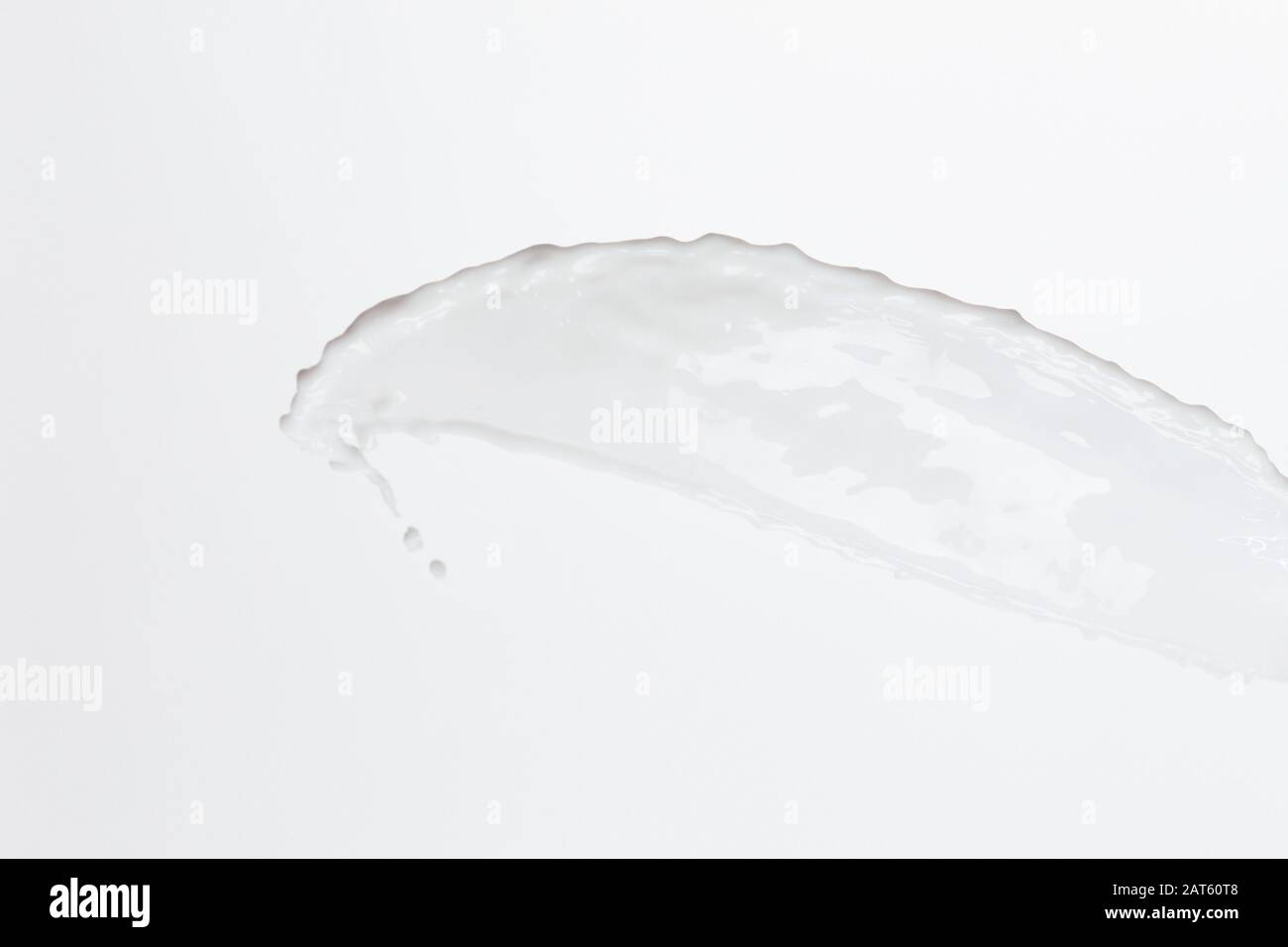 pure fresh white milk splash with drops isolated on white Stock Photo ...