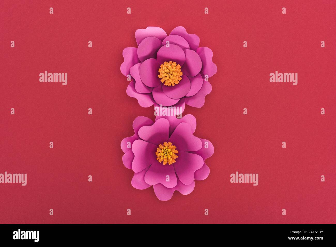 top view of paper pink paper flowers isolated on red Stock Photo - Alamy