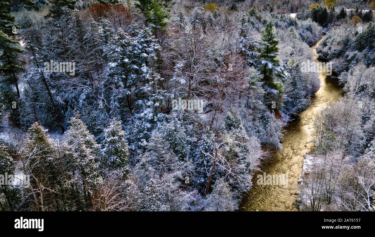 winter landscape of the forest after the first snowfall Stock Photo - Alamy