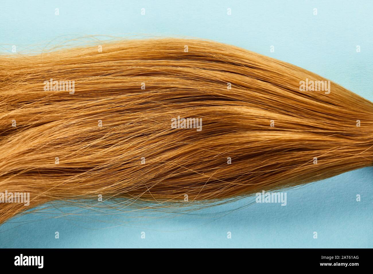 Top view of brown hair on blue background Stock Photo - Alamy