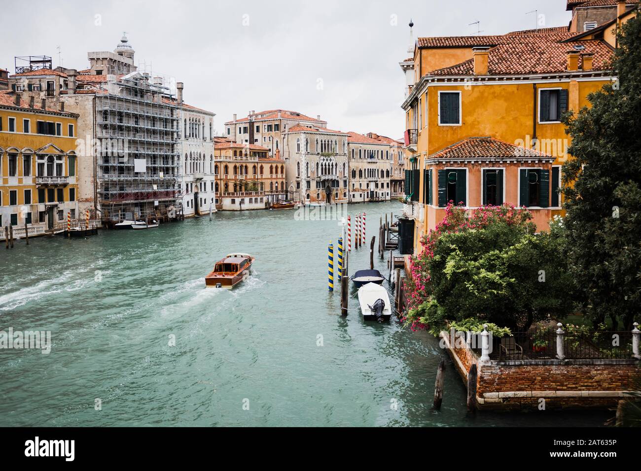 Motor boats and green plants hi-res stock photography and images - Alamy