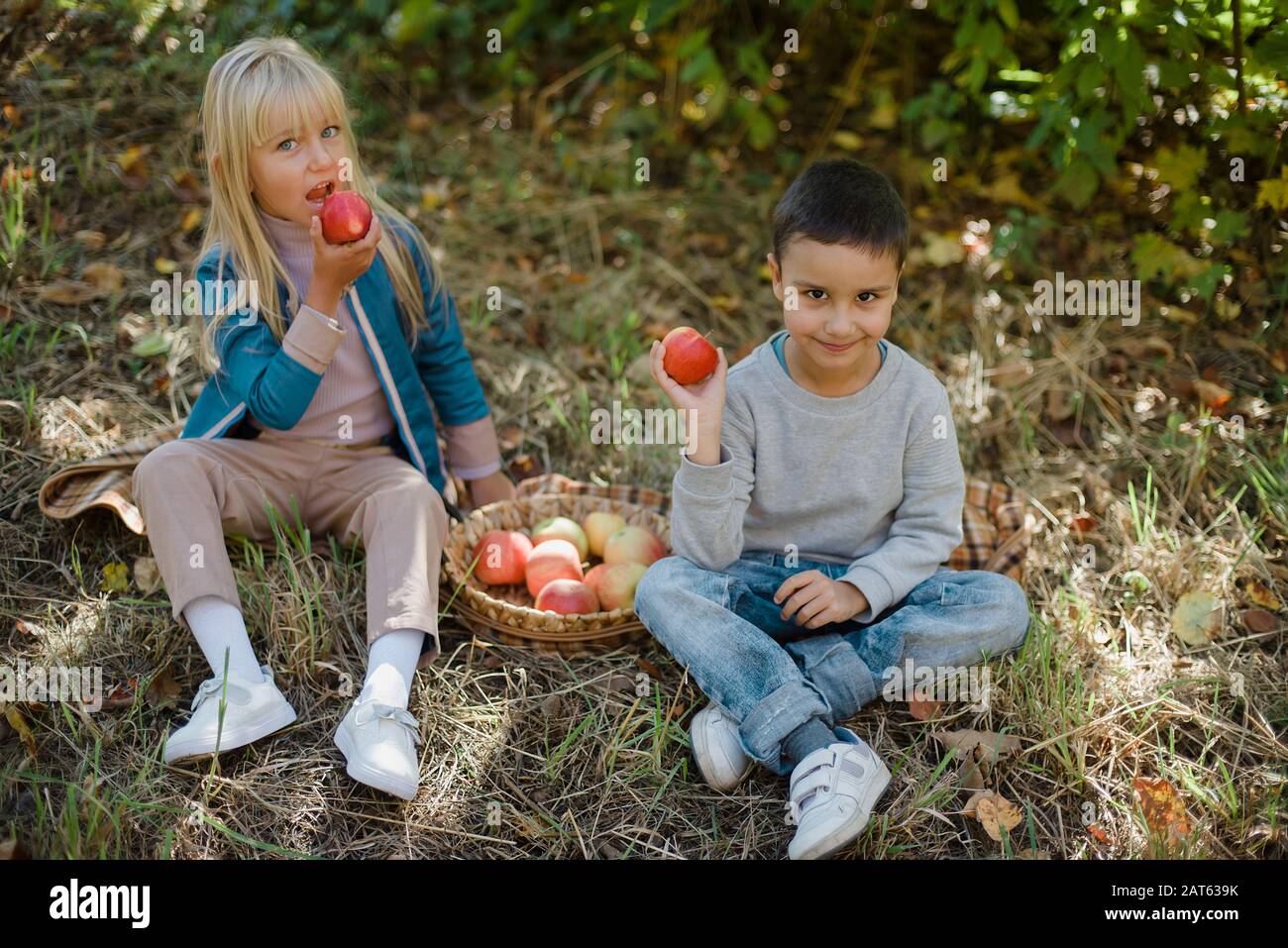 Children picking fruits hi-res stock photography and images - Alamy