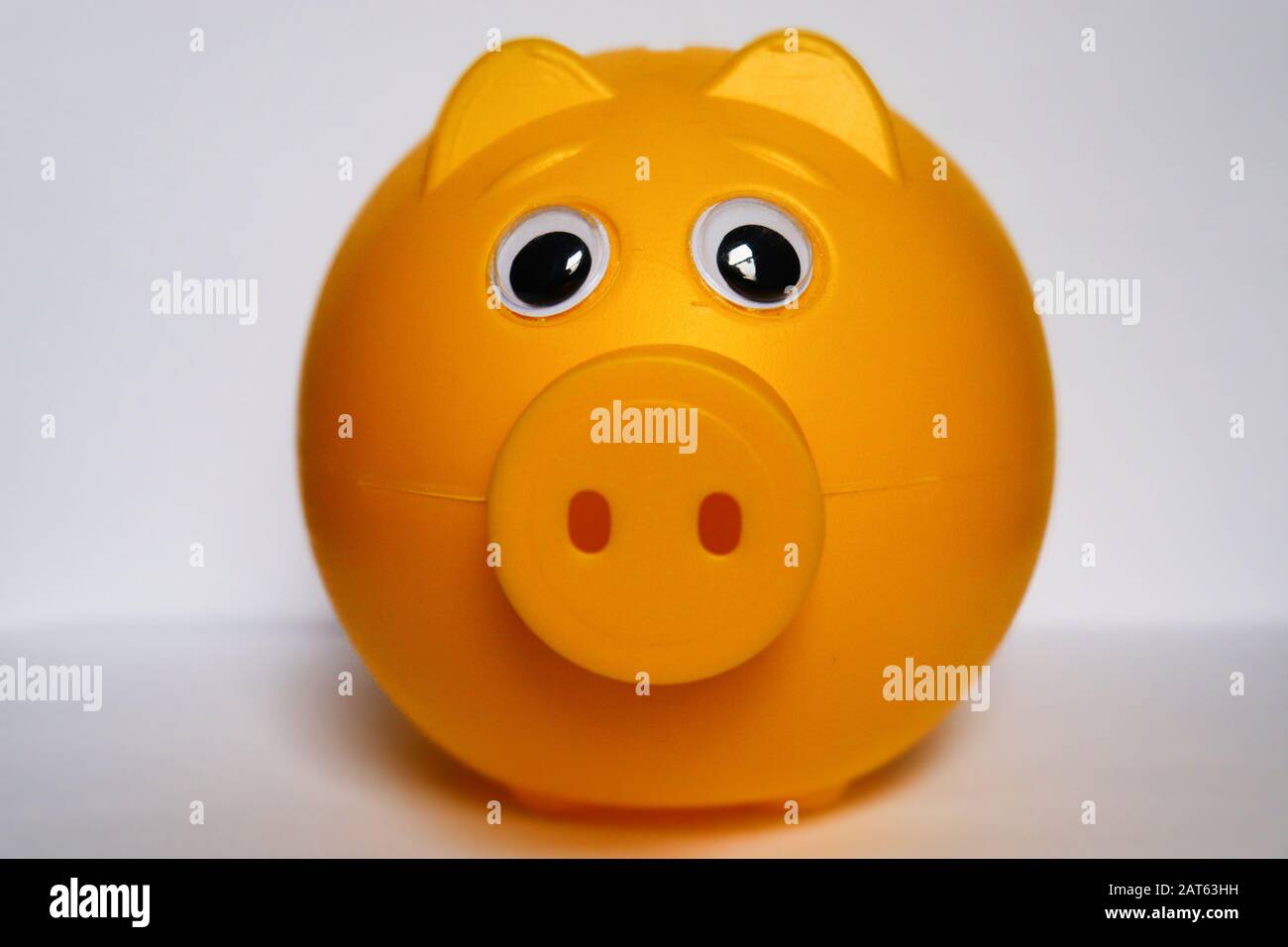 Piggy eyes hi-res stock photography and images - Alamy