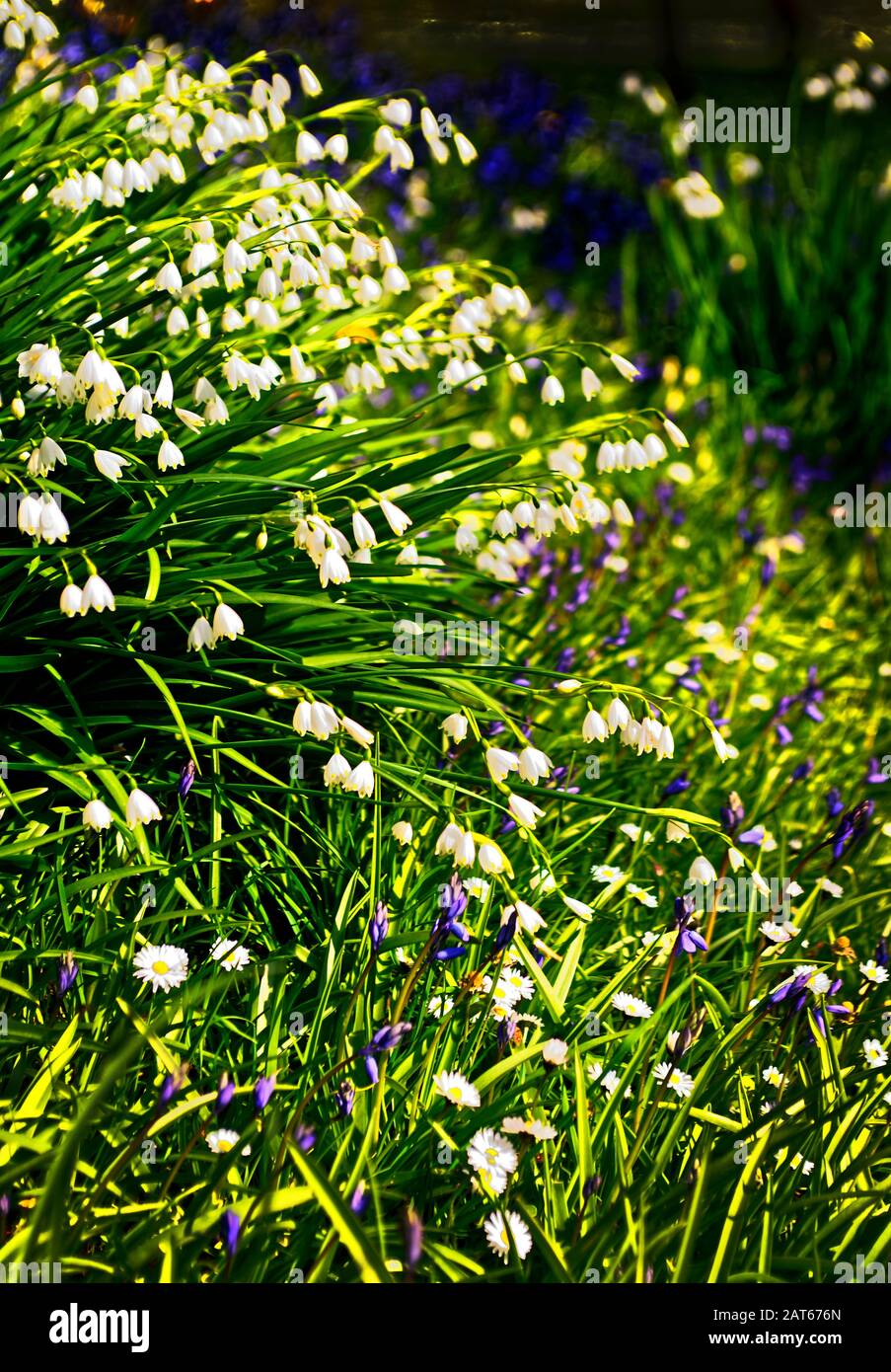 Little Bredy is a delightful park and village in Dorset Stock Photo - Alamy
