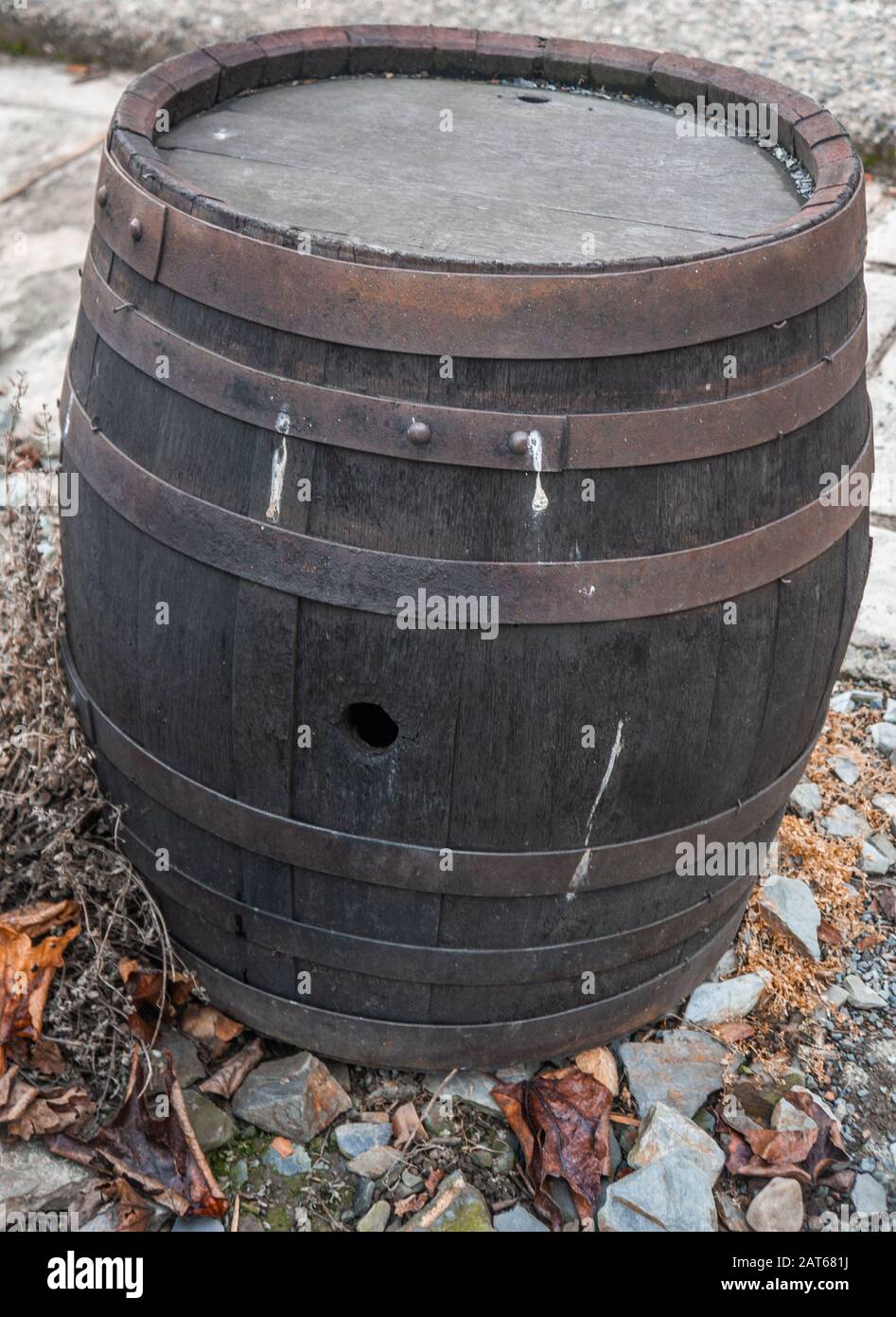 Single rustic vintage wine barrel sitting on gravel ground surrounded ...