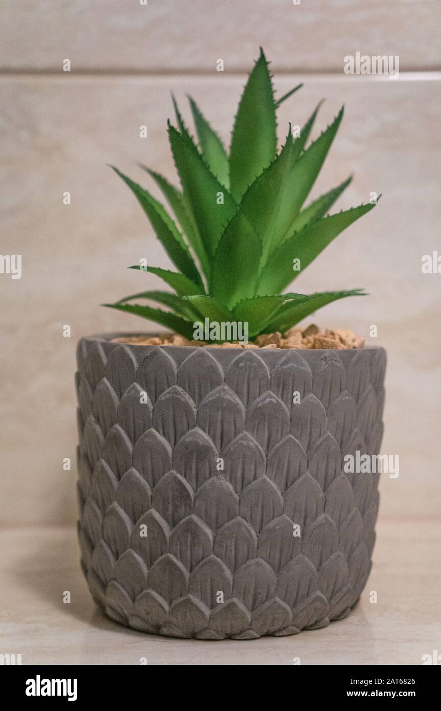 Pot leaf pattern hi-res stock photography and images - Alamy