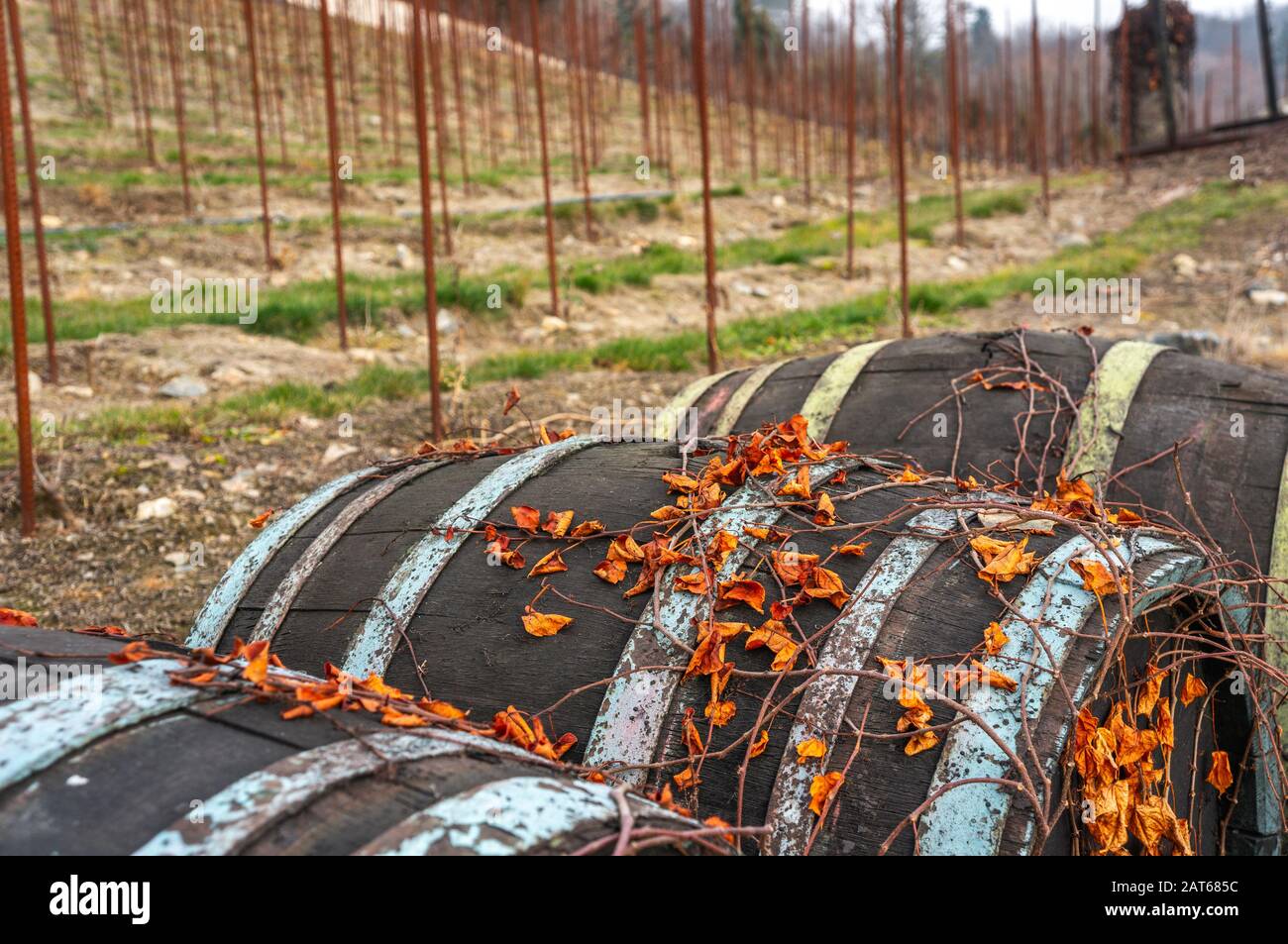 Claire background hi-res stock photography and images - Alamy