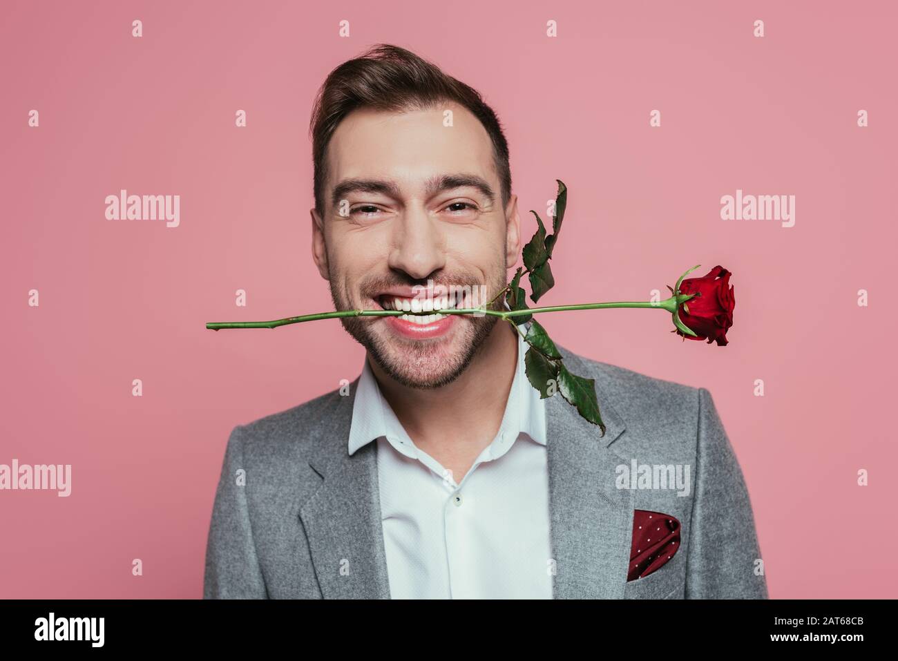 cheerful man in suit holding red rose in teeth, isolated on pink Stock ...