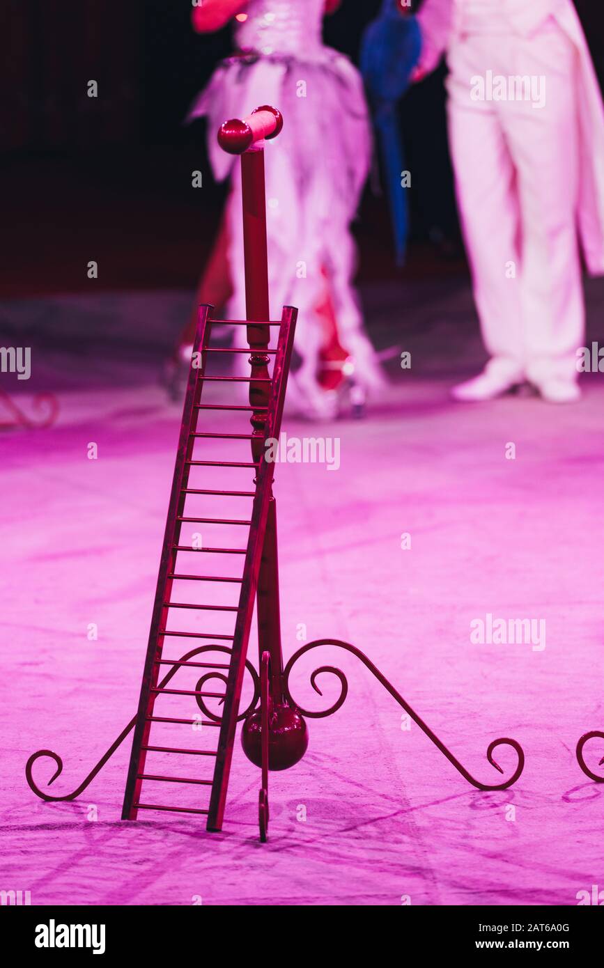 Selective focus of ladder with stand and artists with ara parrot in ...