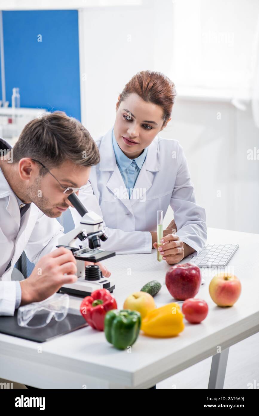 molecular nutritionist using microscope and his colleague holding test ...