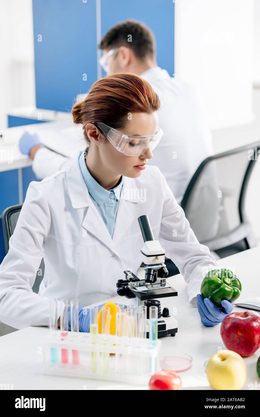 molecular nutritionist holding and looking at bell pepper in lab Stock ...
