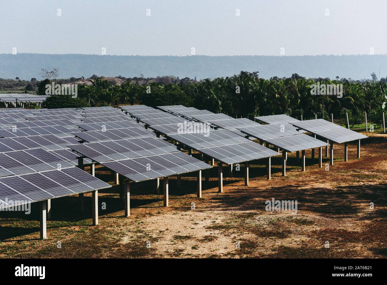 Solar panels in the solar farm with green tree and sun lighting reflect ...