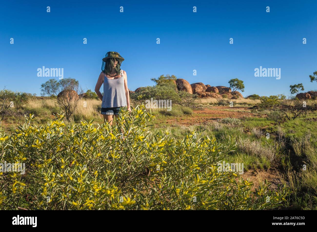 Tourist bushwalker beside desert flower bush at the Devil's Marbles ...