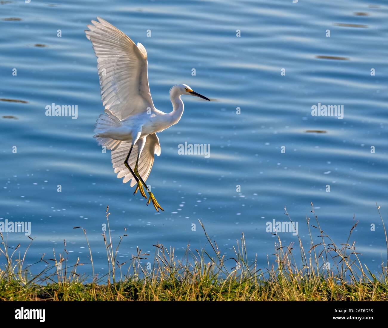 Balboa landing hi-res stock photography and images - Alamy