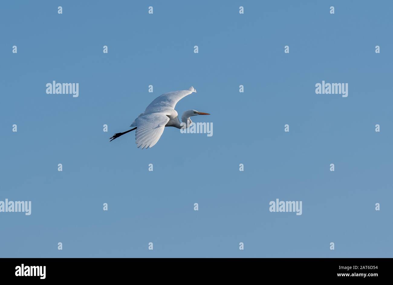 Balboa landing hi-res stock photography and images - Alamy