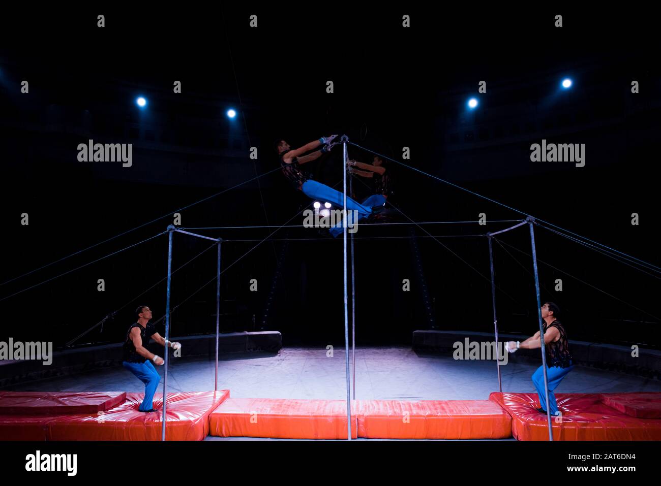handsome gymnasts performing on horizontal bars in circus Stock Photo ...