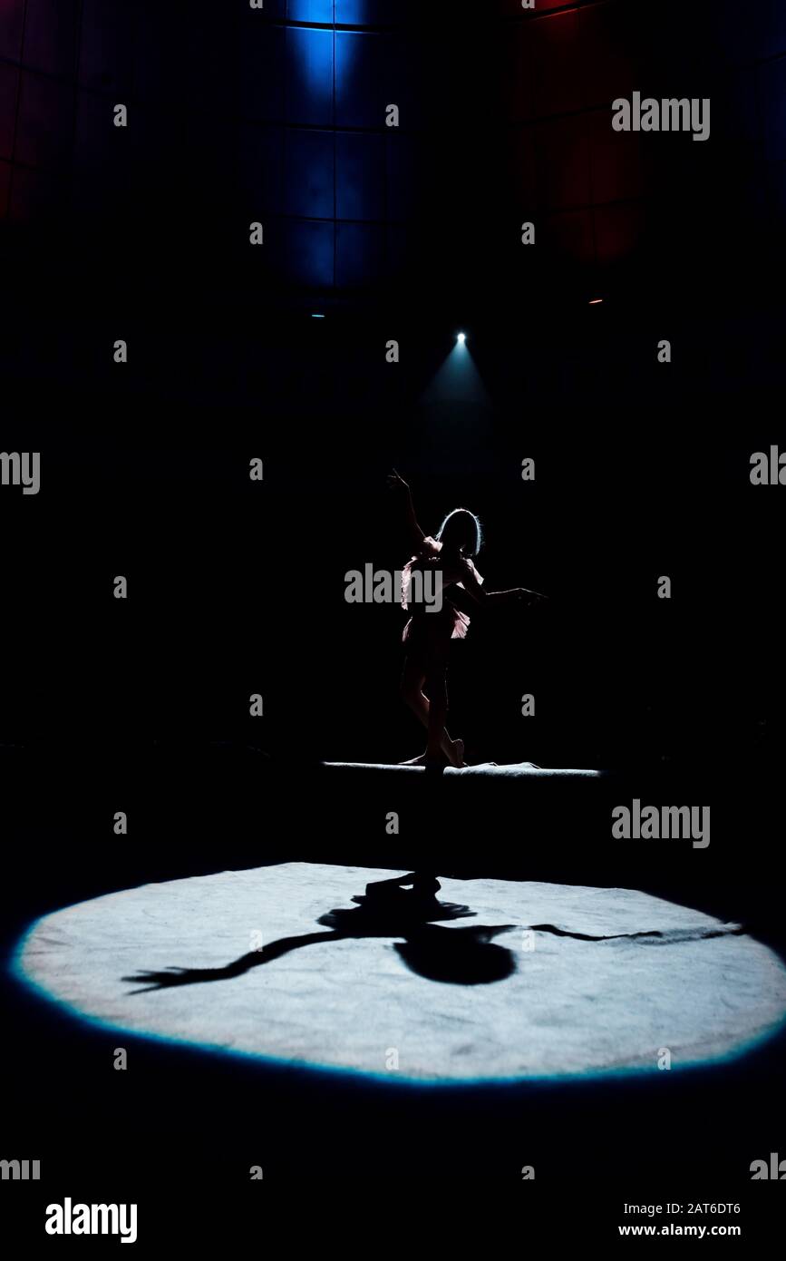 silhouette of flexible acrobat on rope in circus Stock Photo - Alamy