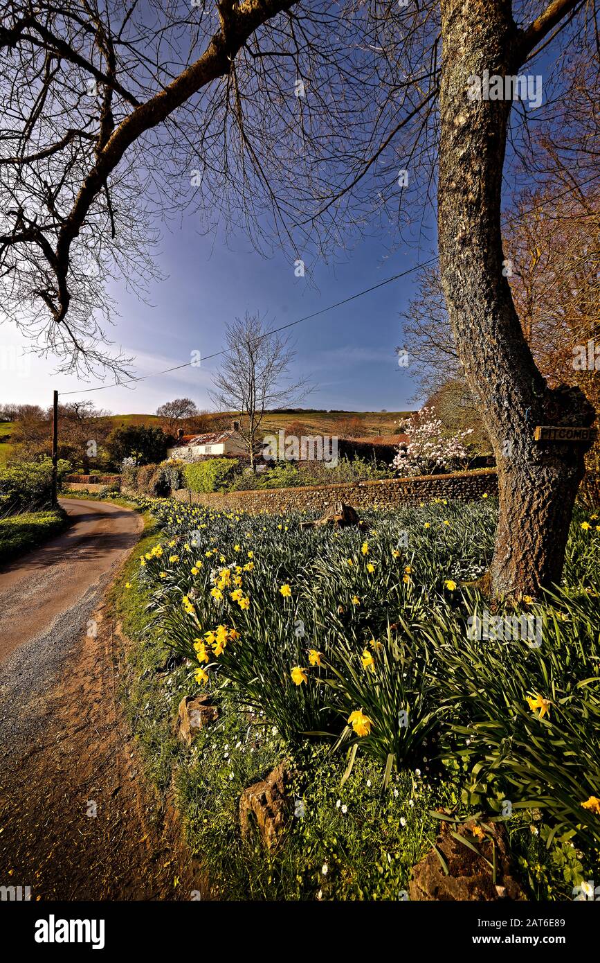 Little Bredy is a delightful park and village in Dorset Stock Photo - Alamy