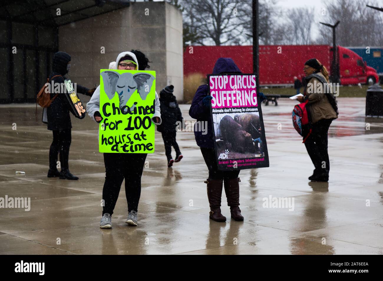 Circus animals hi-res stock photography and images - Alamy