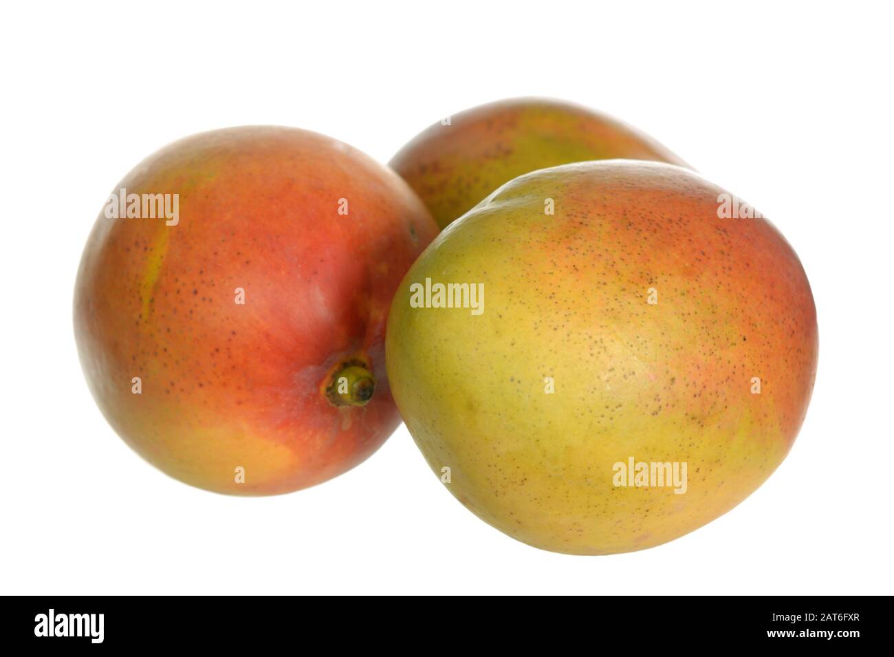 Three organic mangoes isolated on white Stock Photo - Alamy