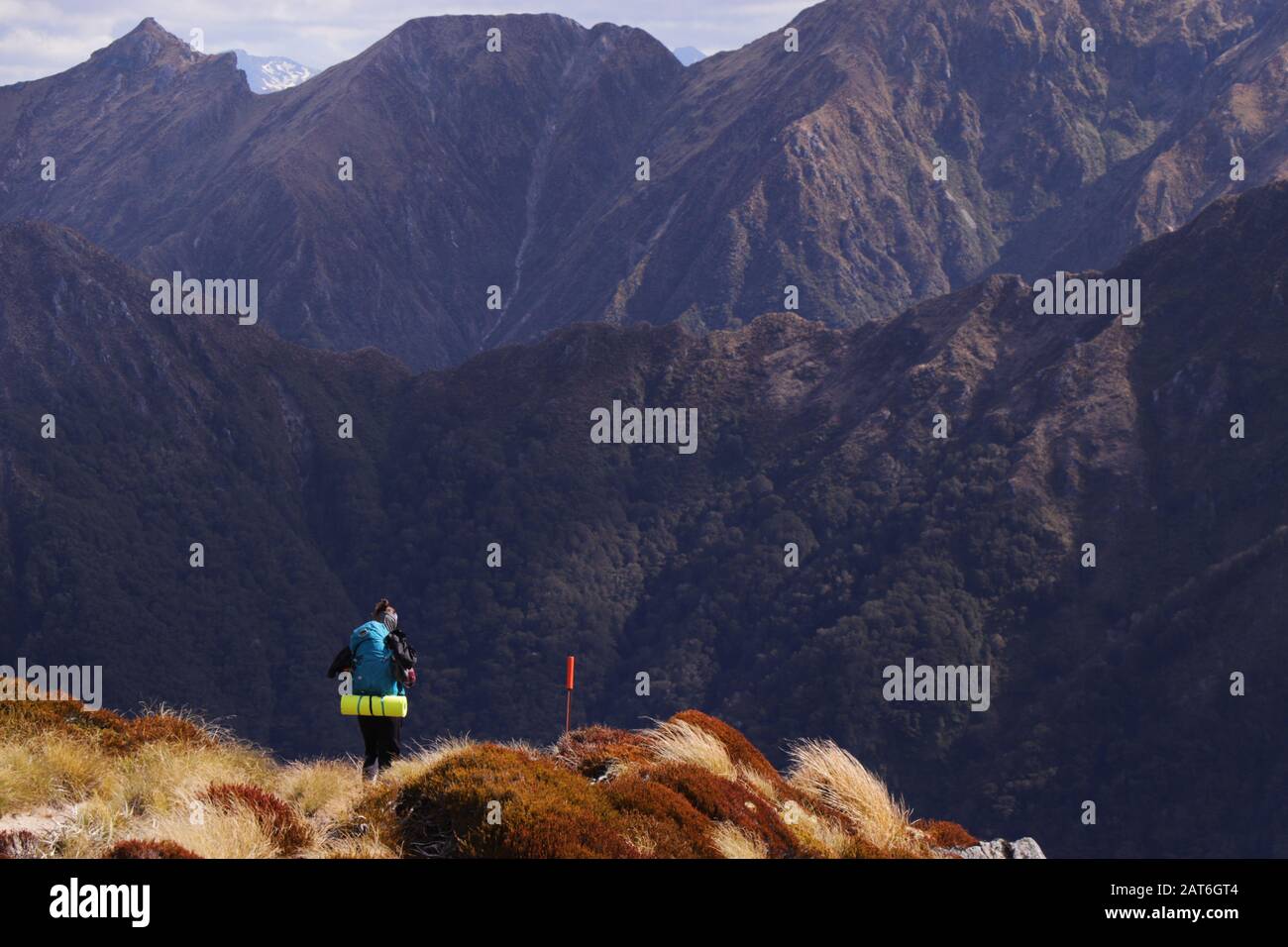 Kepler track hi-res stock photography and images - Alamy