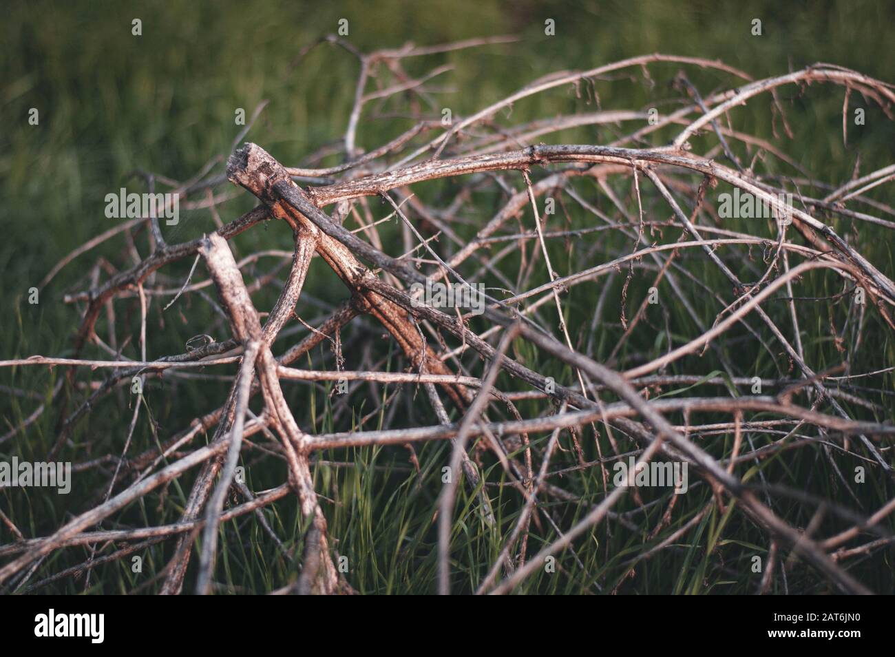 Tumbleweed hi-res stock photography and images - Alamy