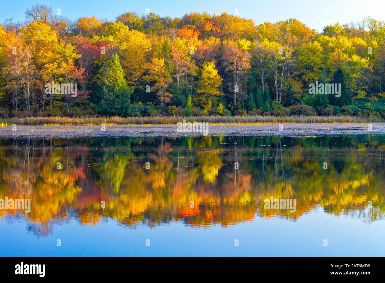 173-acre Lake is one of two lakes at Promised Land State Park in ...