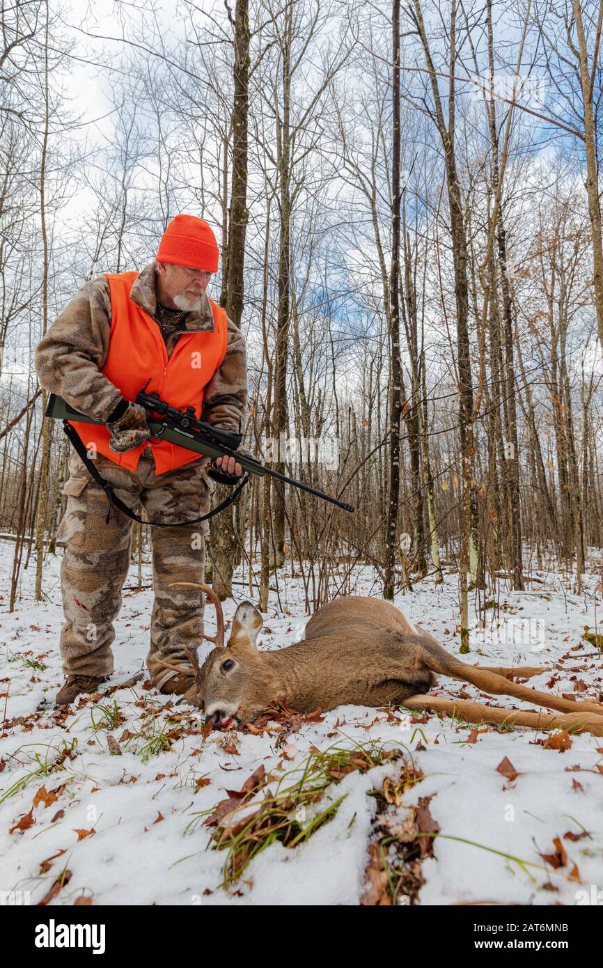 Deer hunting and america hi-res stock photography and images - Alamy