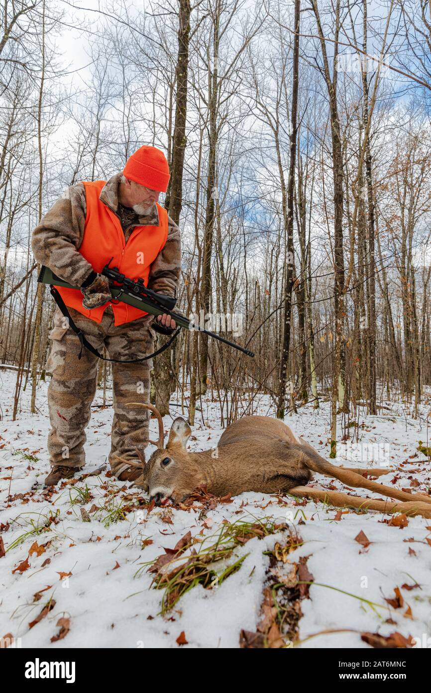 Deer hunting and america hi-res stock photography and images - Alamy