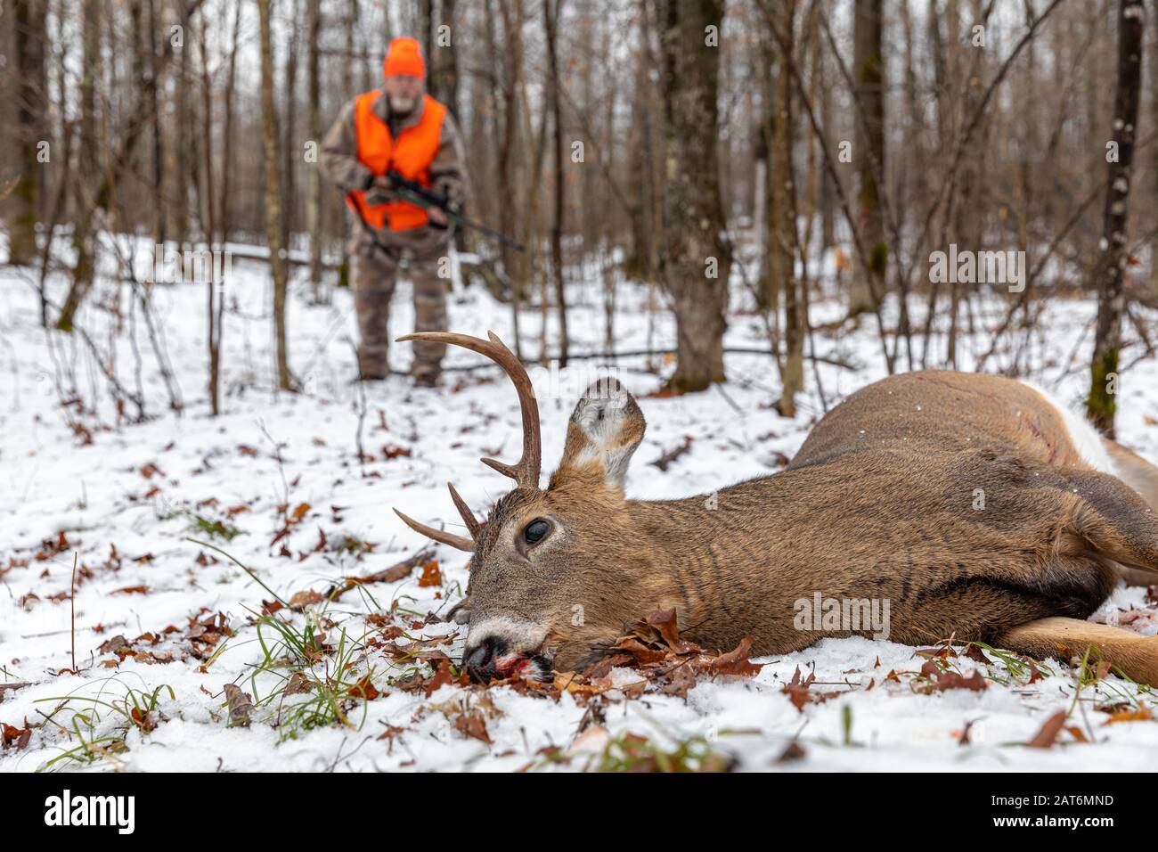Wisconsin Deer Hunting Logo