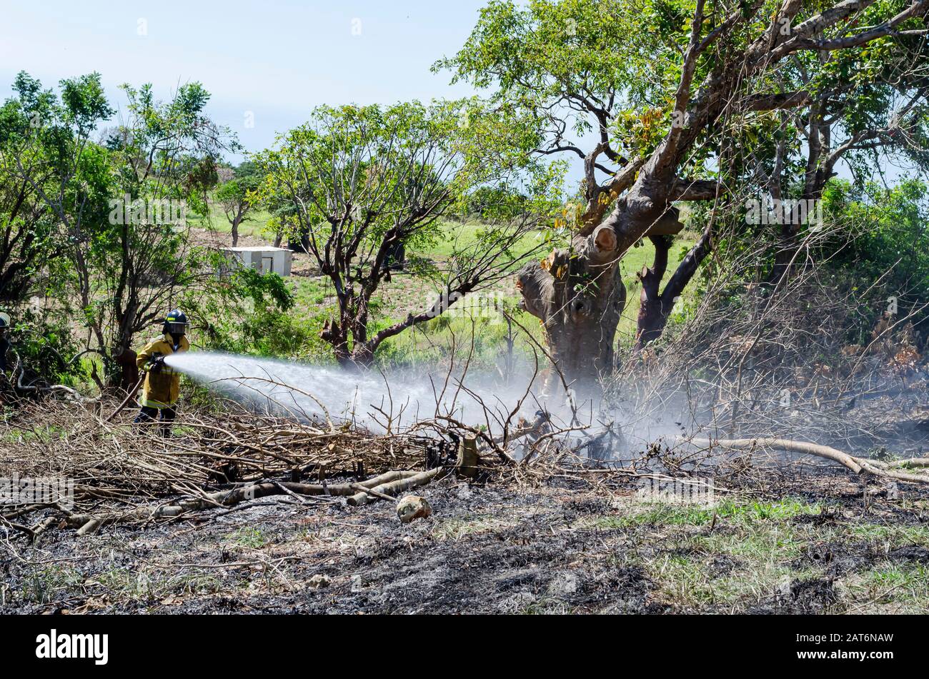 People fighting a forest fire hi-res stock photography and images - Alamy