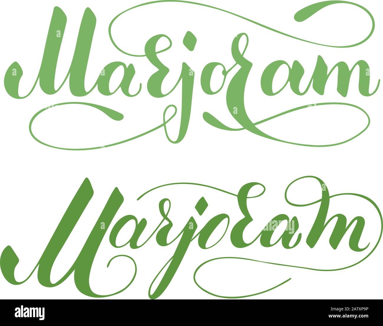 Vector hand written marjoram text isolated on white background. Kitchen ...