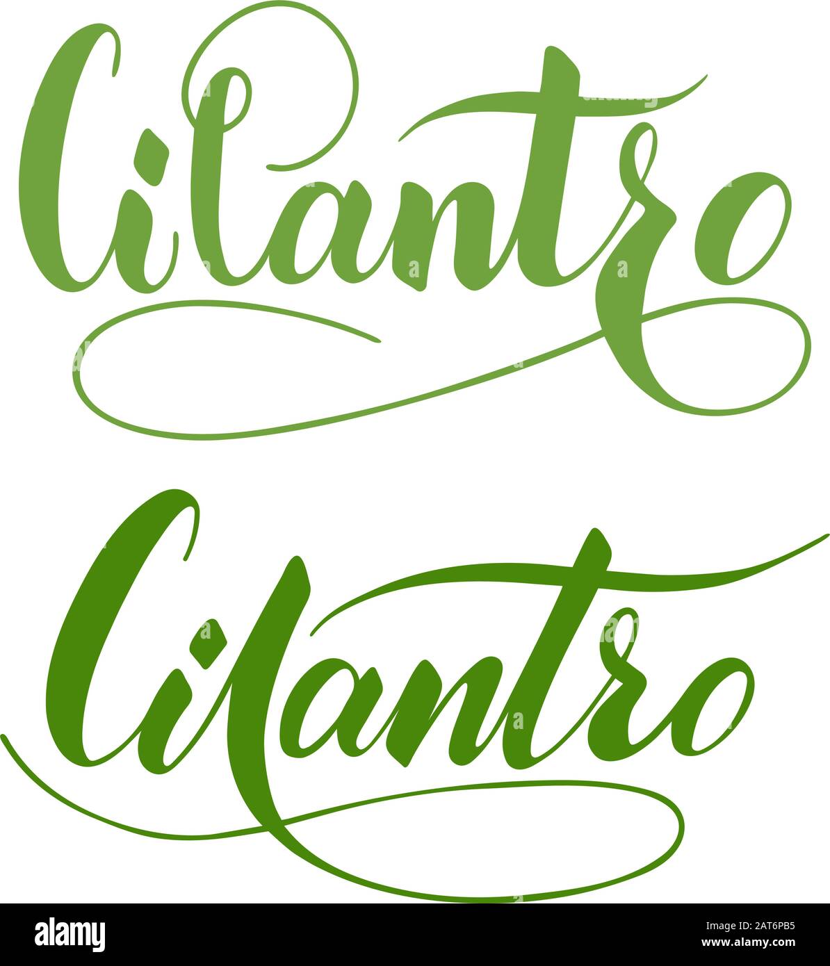 Cilantro Logo
