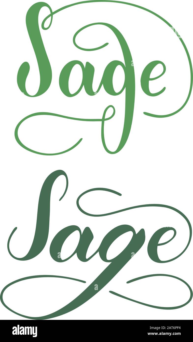Vector hand written sage text isolated on white background. Kitchen ...